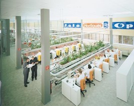 20 Jahre Hartlauer Optik: Hartlauer ist nicht nur Österreichs größter ...