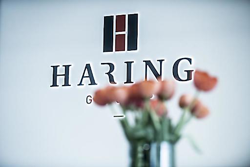 PALLAS CAPITAL strukturiert Mezzaninkapital für HARING Group | PALLAS ...